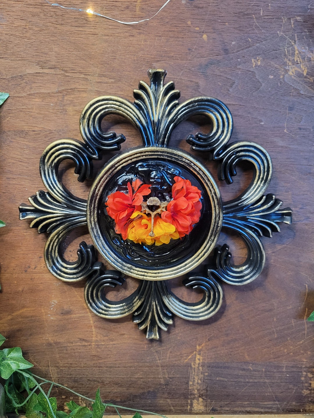 Armadillo Vertebra in Frame, Gothic, Cottagecore Decor, Pagan Decor ...