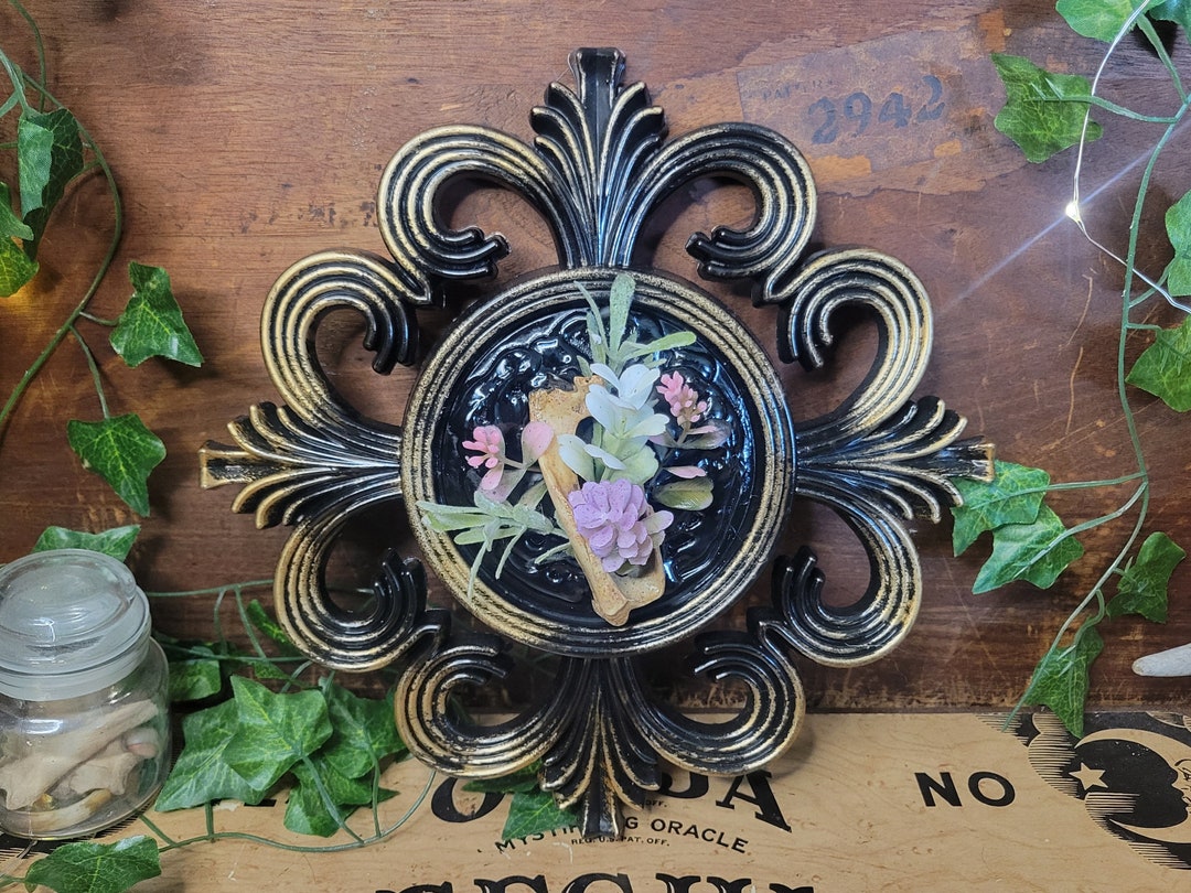 Armadillo Bone in Ornate Frame, Gothic Decor, Halloween, Horror Decor ...