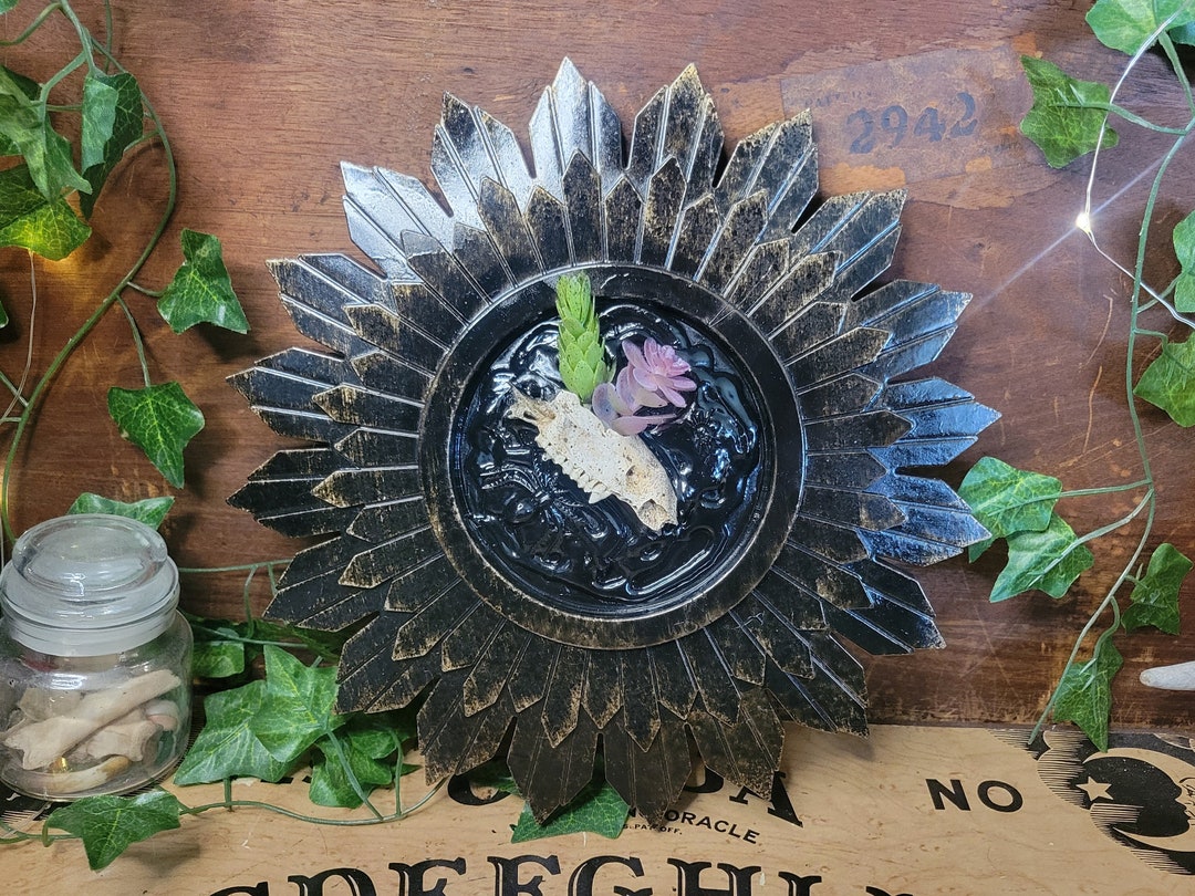 Raccoon Jaw Sun Frame, Gothic Decor, Halloween, Horror Decor, Occult ...