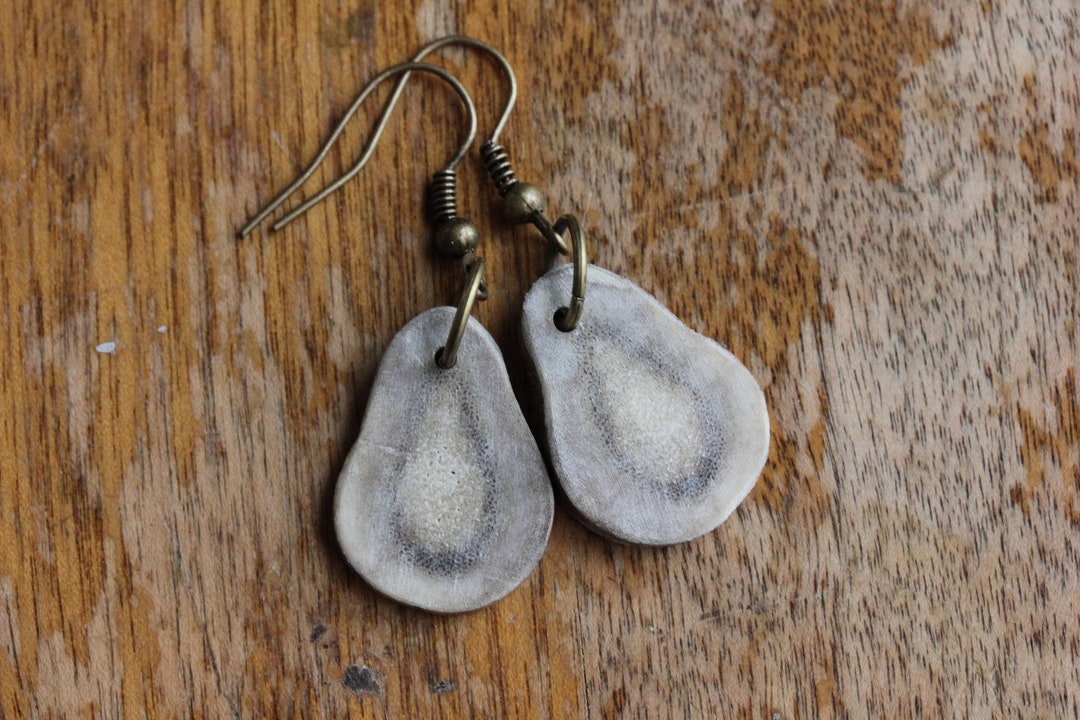 Antler Earrings - Real Antler Slices -deer, Moose or Caribou Antlers ...