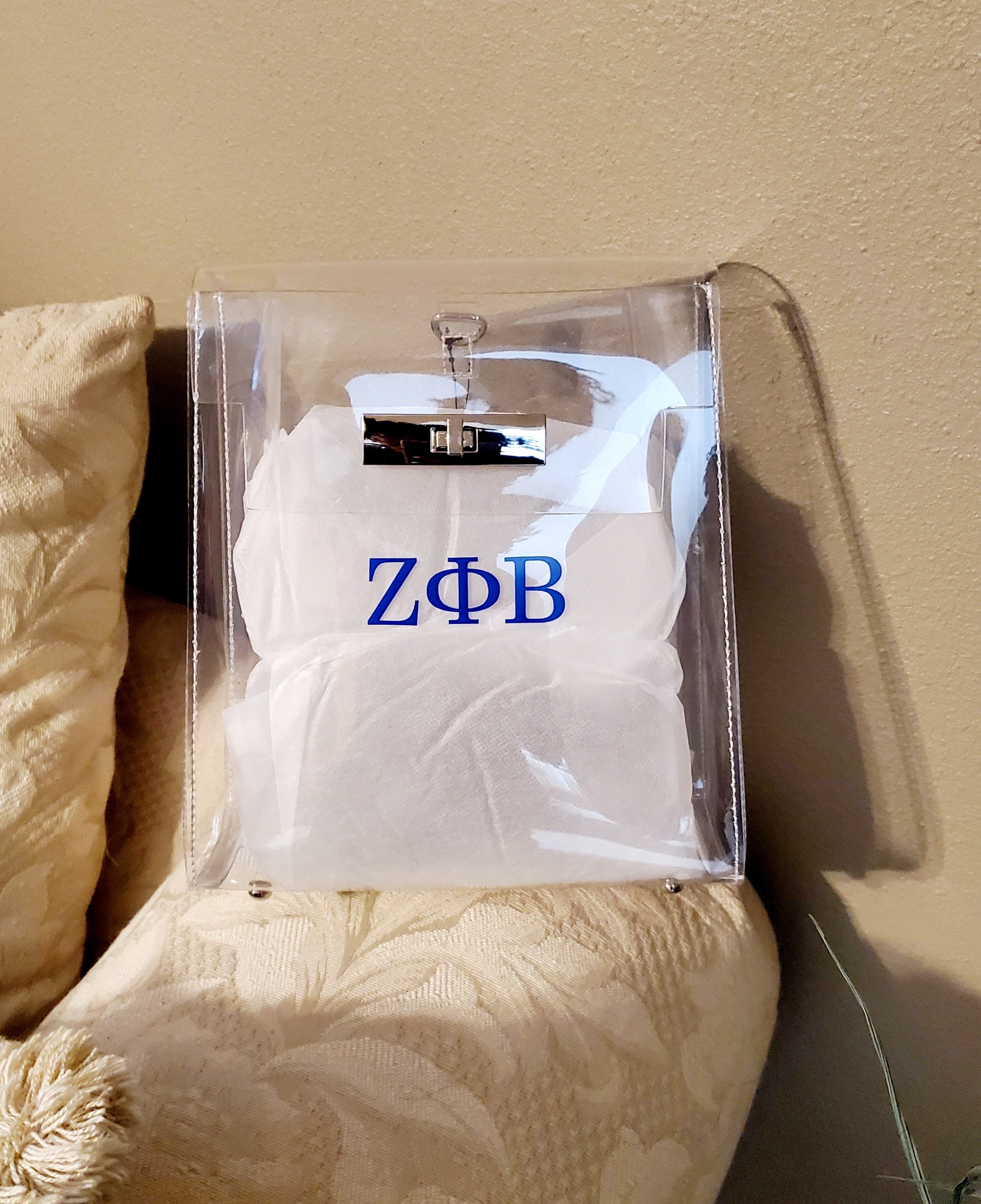 Zeta Phi Beta Clear Backpack - Etsy