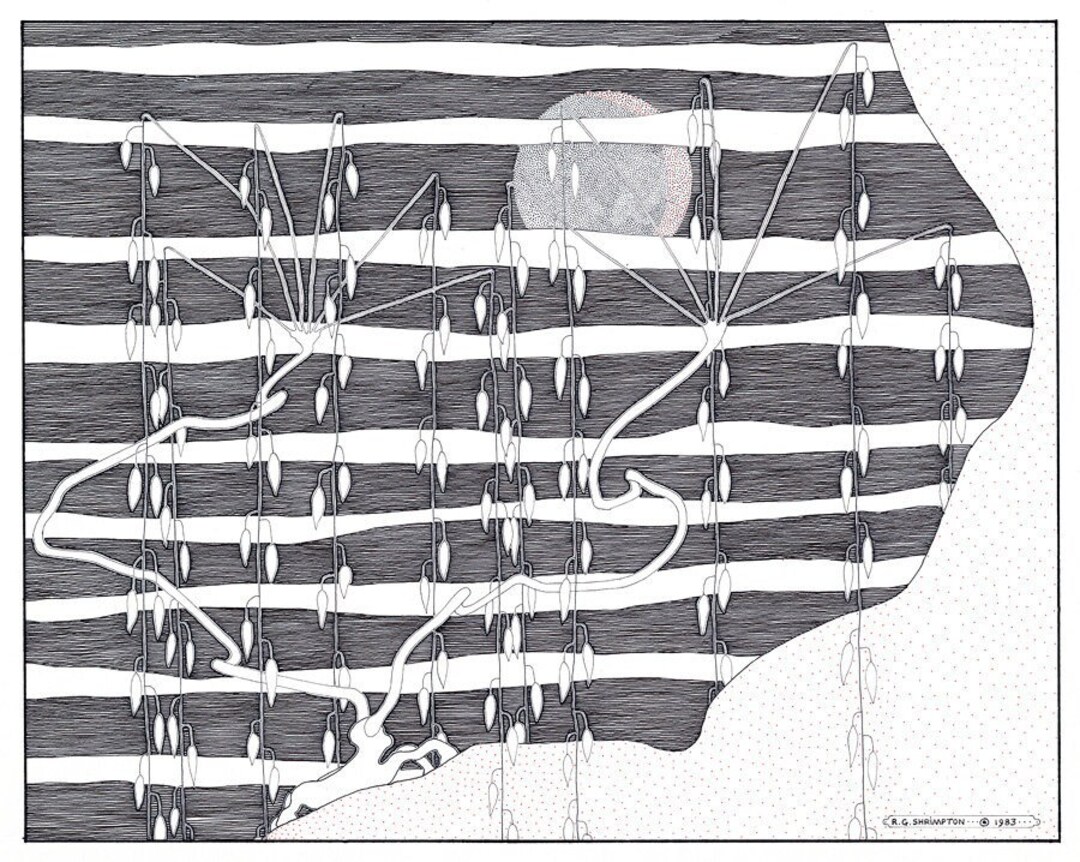 Pen and Ink Art Print - 'sublunary Awareness' (20x16") - Etsy