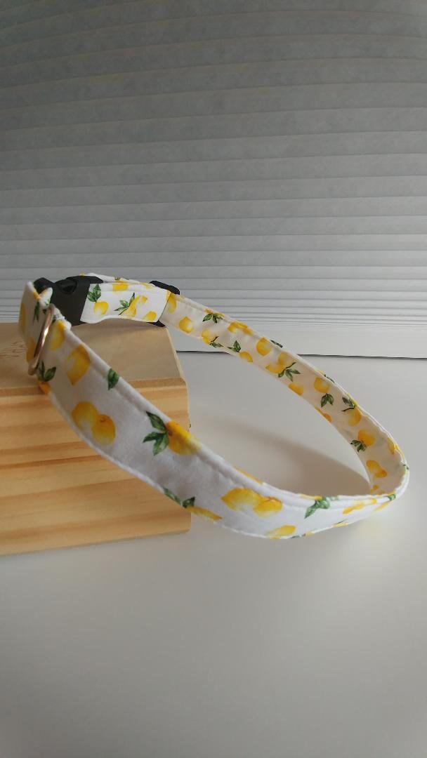 Collar de perro Collar de perro de limones Collar de perro amarillo y ...