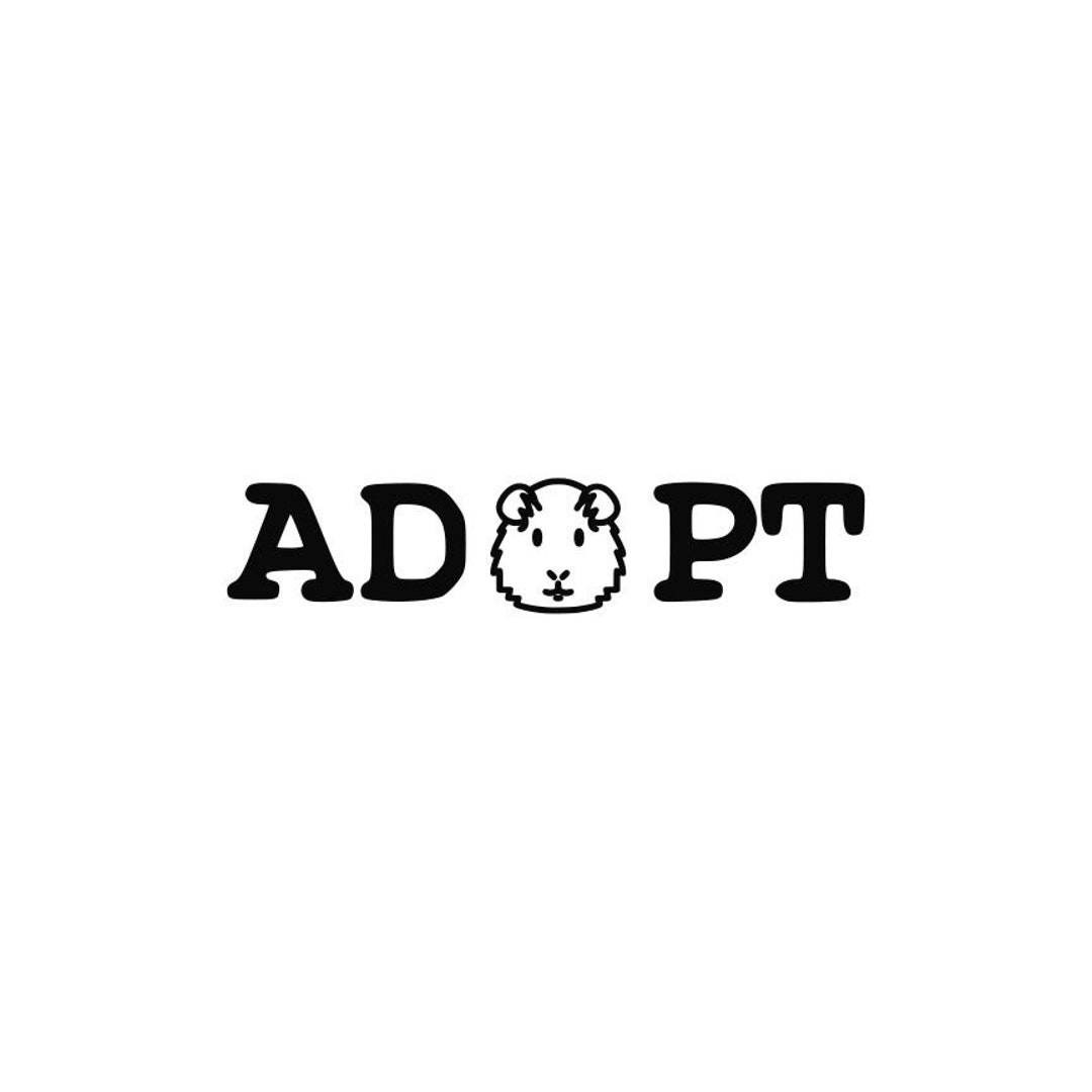 Adopt Guinea Pig Decal Rescue Pet Window Decal Animal Guinea Pigs ...