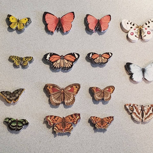 Butterfly Die Cut - Etsy