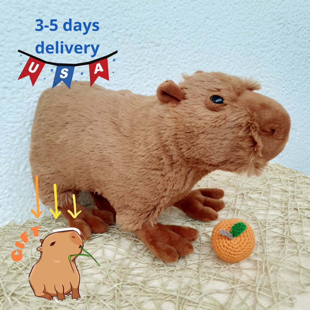 Capybara Plush Soft Toy With Orange, Plushie Capybara, Gift for Friends ...