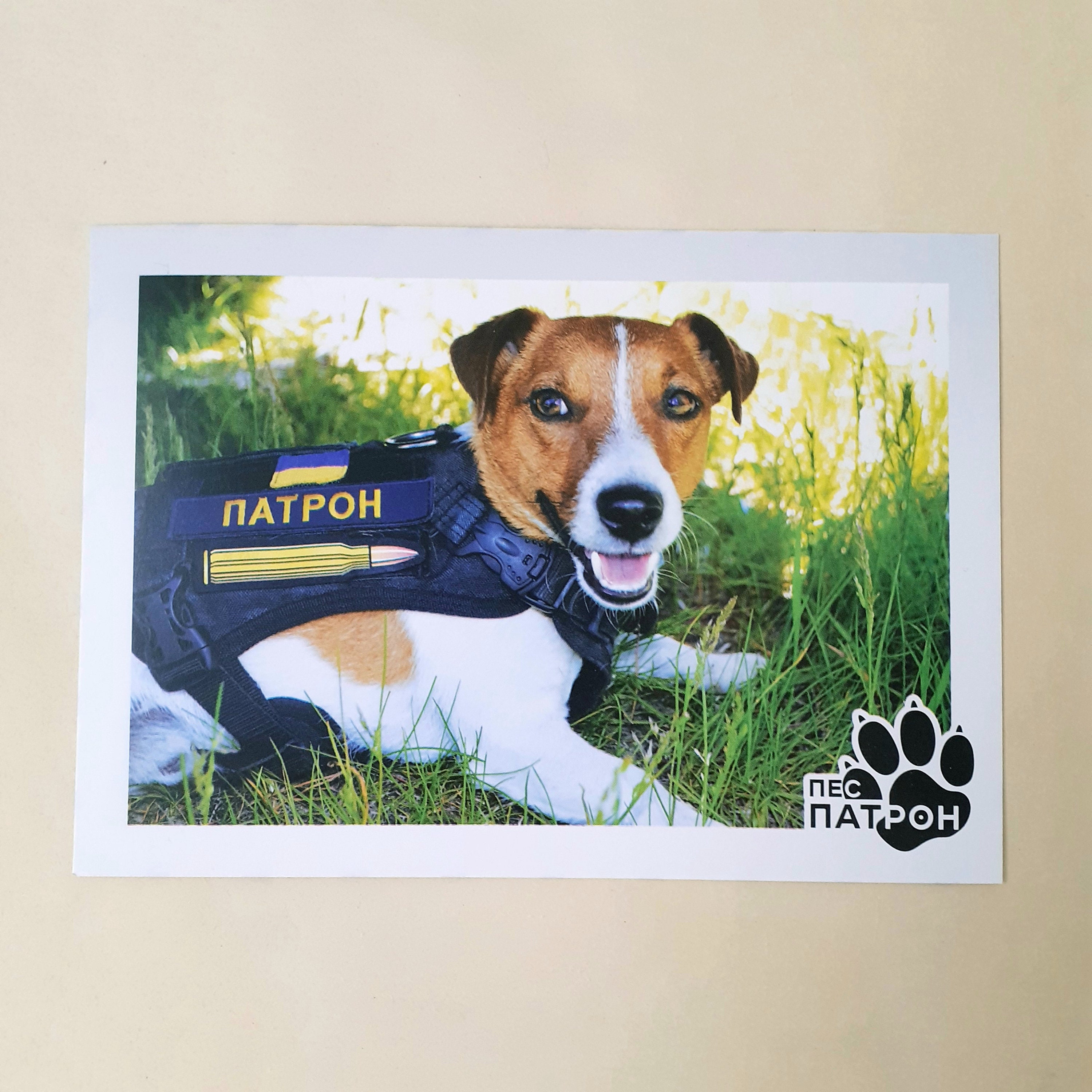 Patron Minesweeper Dog Souvenirs, Dog Patron Magnets, Badges Pin, Dog ...