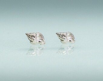 Tiny Shell Earrings - Etsy