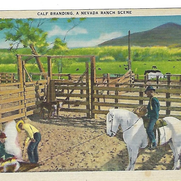 Ranch Scene - Etsy