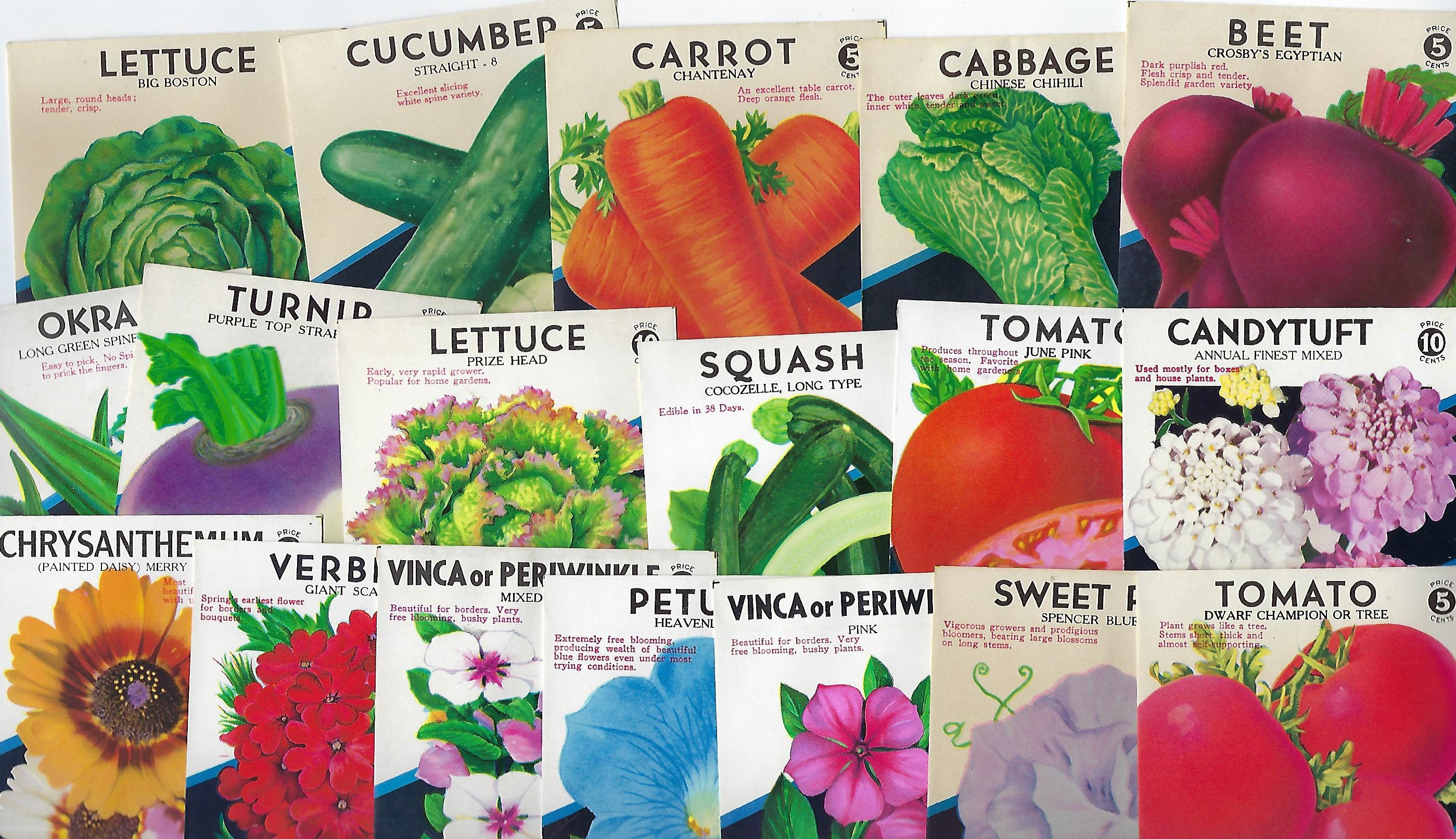 Vintage Seed Packets Vegetables Fruits & Flowers NO SEEDS | Etsy