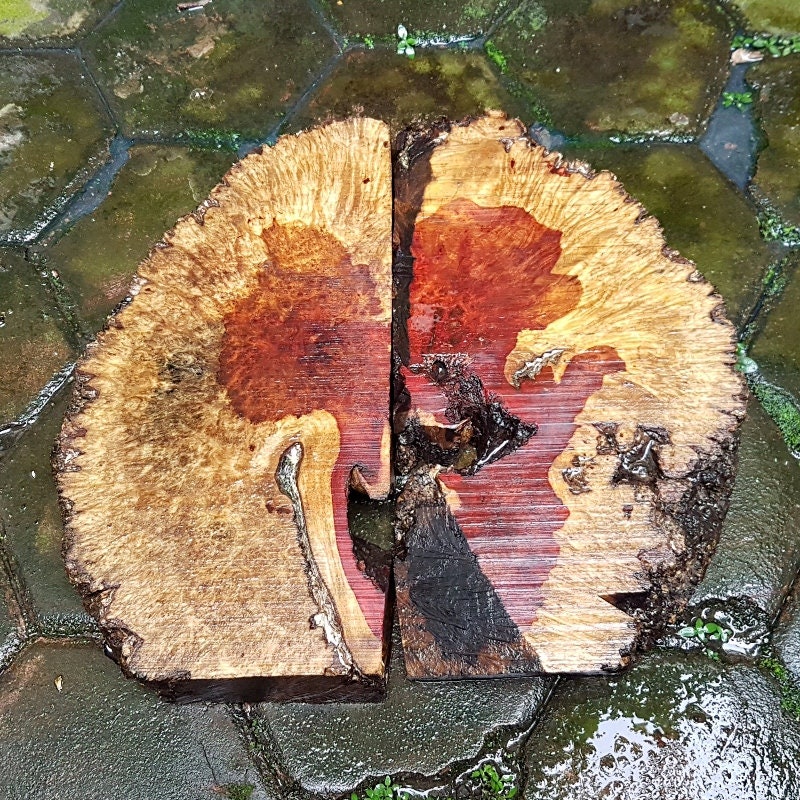 Rare Amboyna Burl Indonesia Exotic Wood Wild Harvest 17,7" X 16,5" X 1 ...