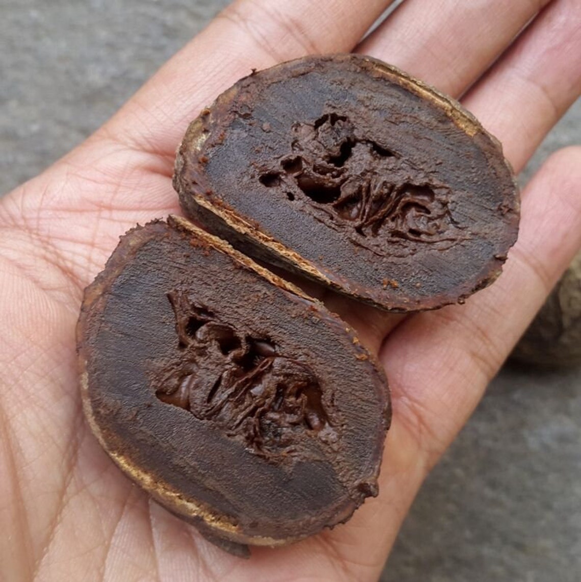 1000 Gram Kluwek pangium Edule for Cooking - Etsy