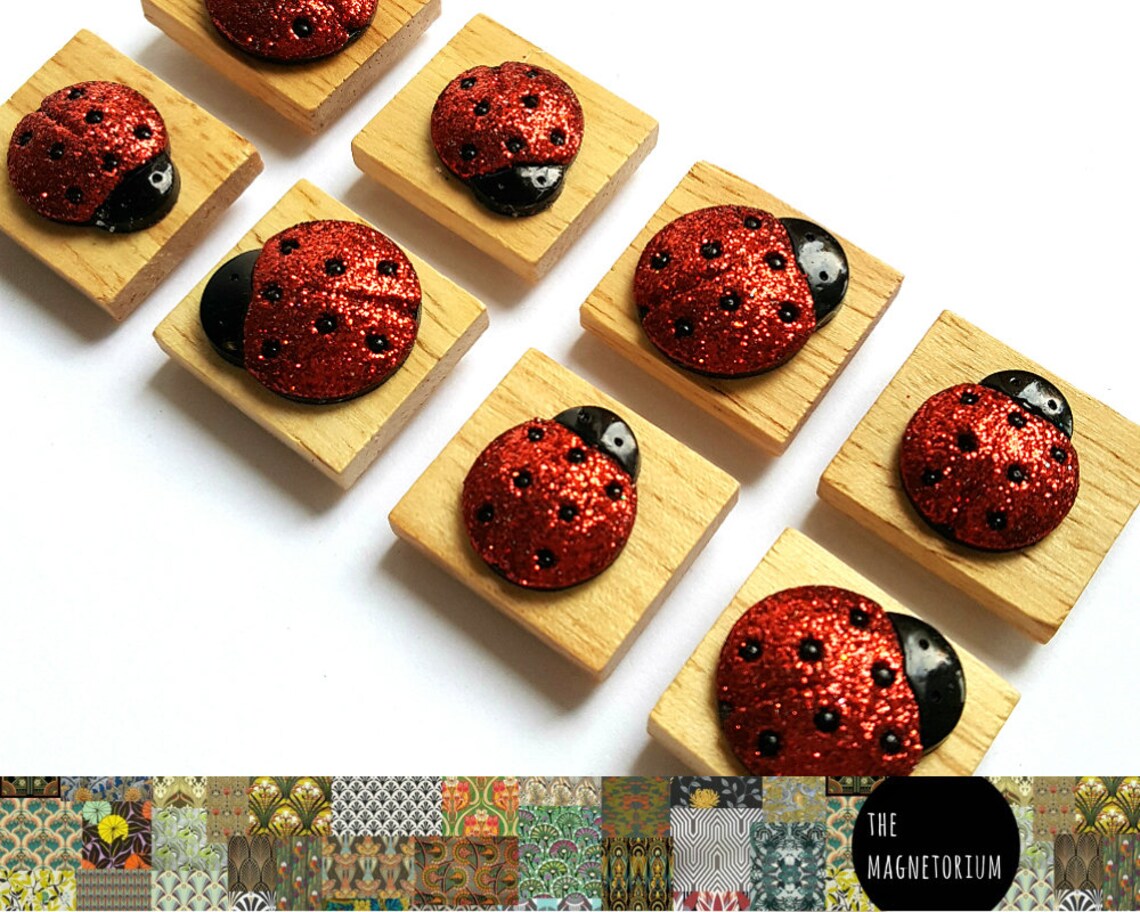 Sparkling Ladybug Fridge Magnet Ladybird Fridge Magnets | Etsy