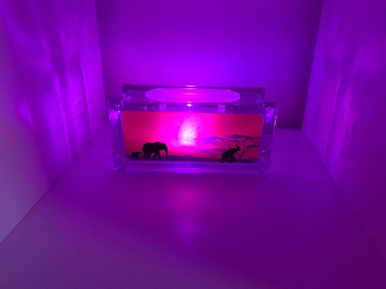 Safari Light Safari Picture Light up Money Box Savings Box - Etsy