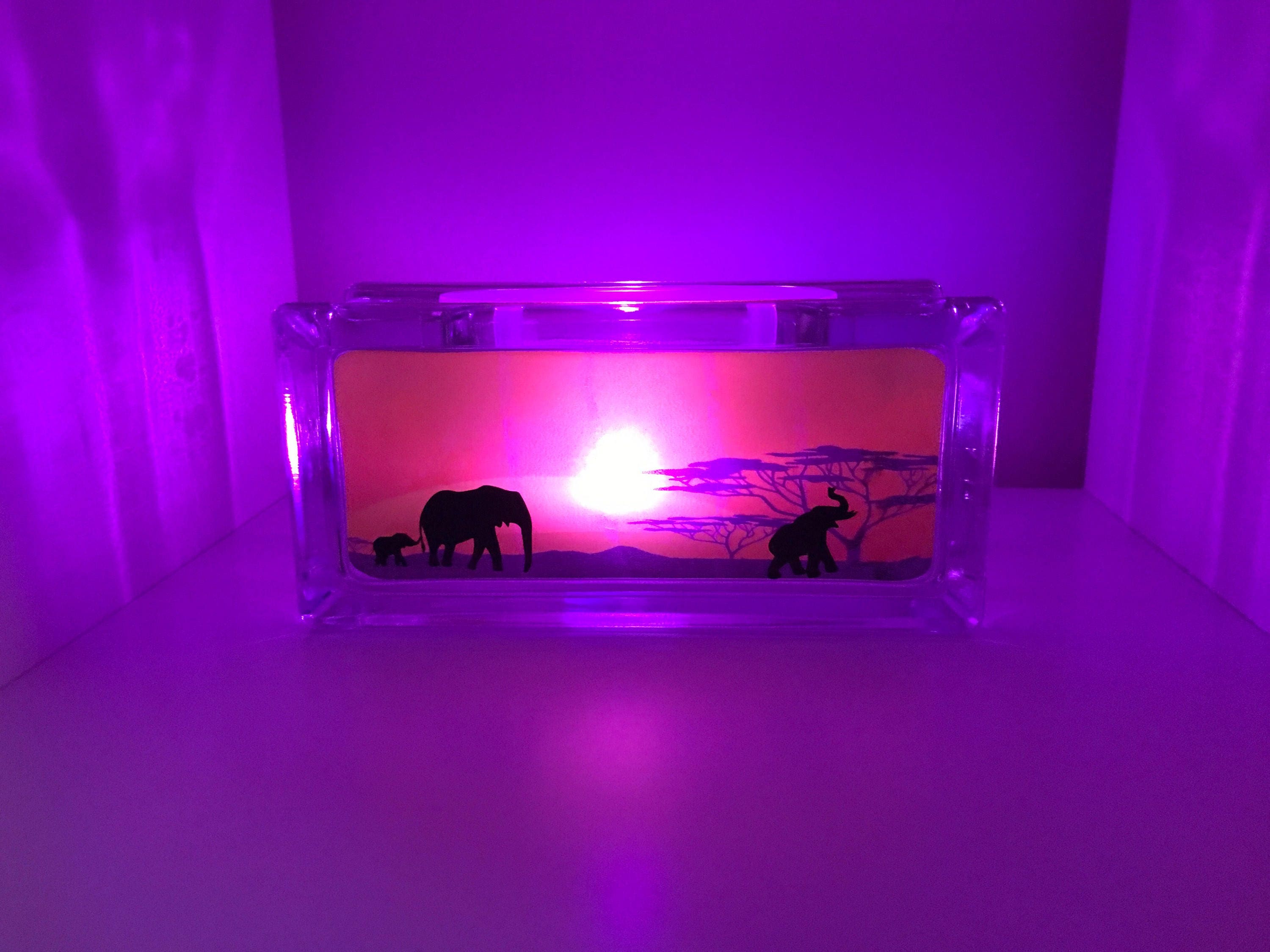 Safari Light Safari Picture Light up Money Box Savings Box | Etsy