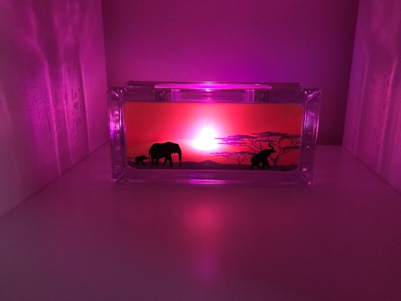 Safari Light Safari Picture Light up Money Box Savings Box - Etsy