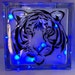 Tiger Light Block, Light up Tiger Gift, Tiger Light, Tiger Gift, Animal ...