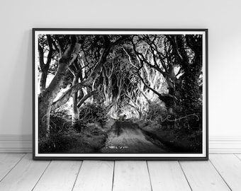 Gothic Print the Dark Hedges Ireland Irish Gift Idea Gift - Etsy Ireland