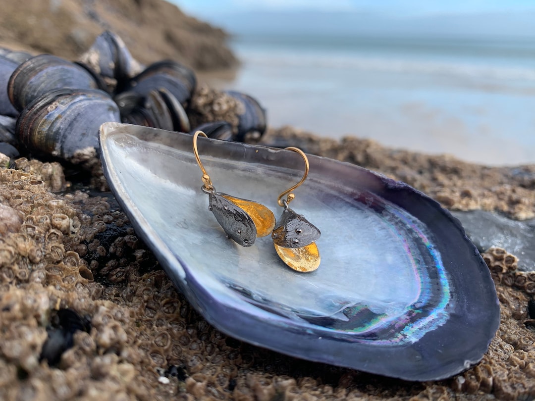 Little Mussel Earrings, Shell Jewellery, Solid Silver Shell Jewellery ...