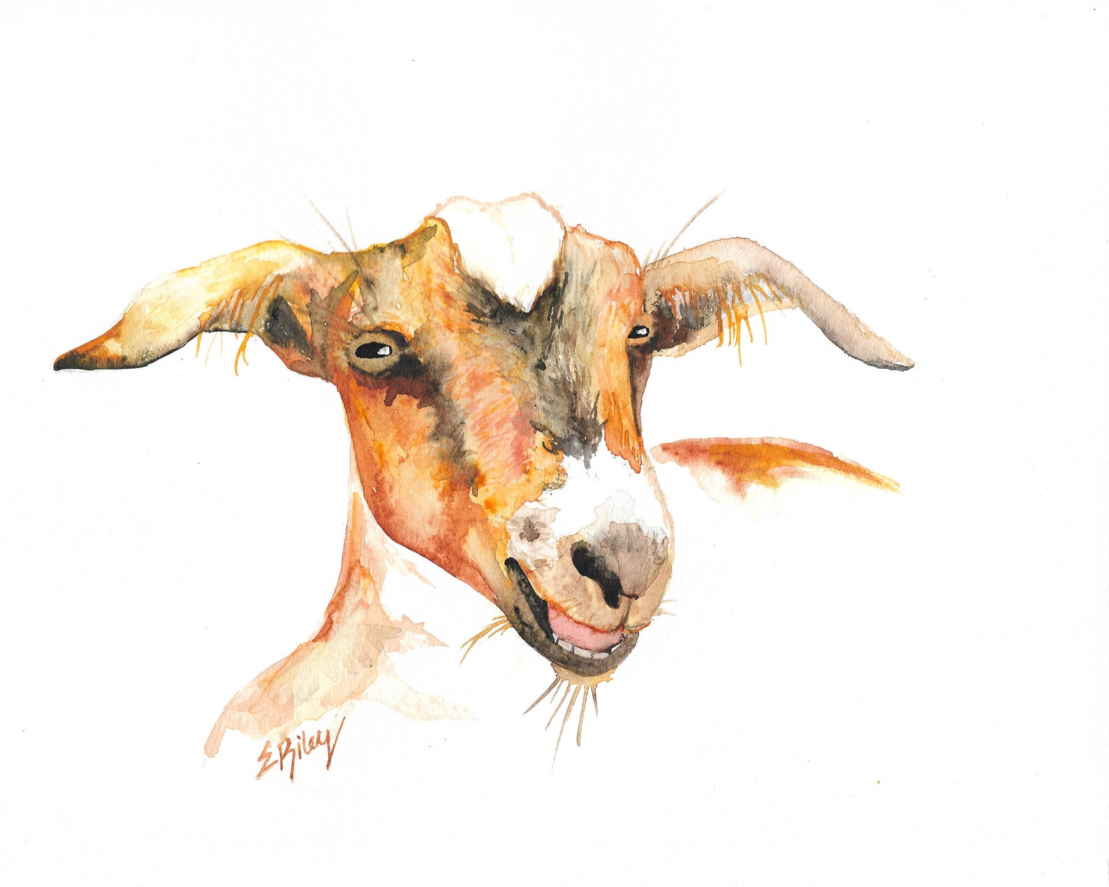 Goat Watercolor ORIGINAL Painting: Original Art of a Brown Goat - Etsy