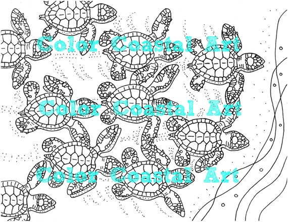 Coloring Pages Of Baby Sea Turtles
