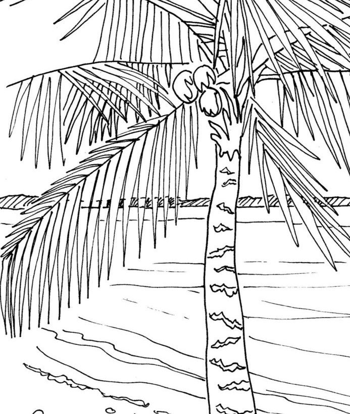 Pom Tree Coloring Pages