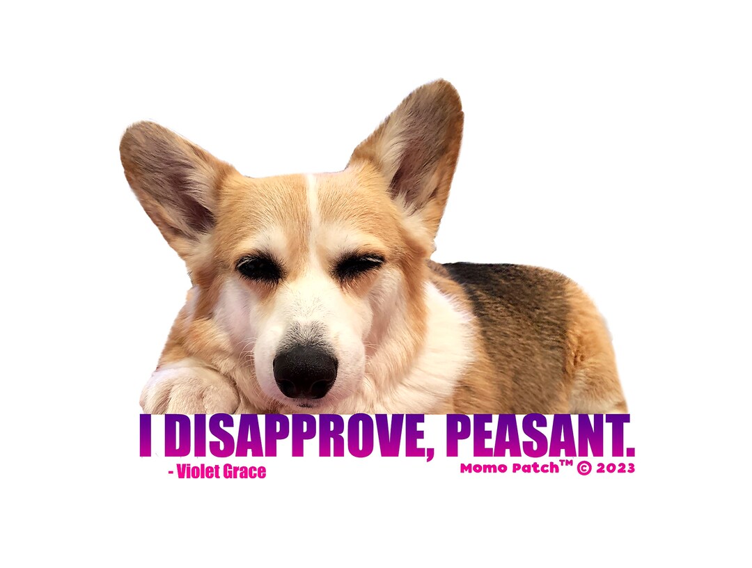 Aroo Crew Corgi Vinyl Sticker Set: I Disapprove, BLEP and Be Yourself ...