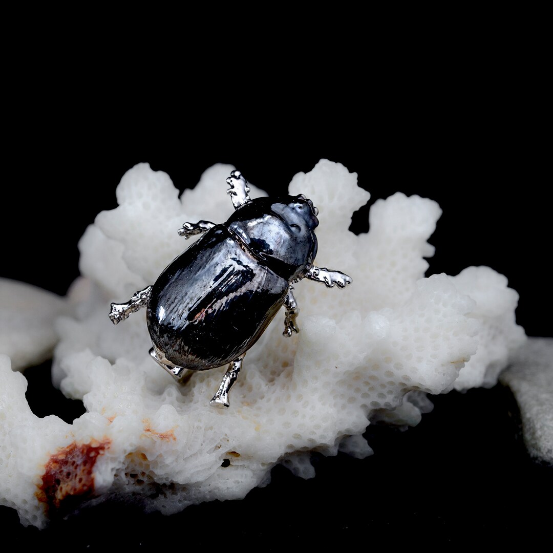 Small Brooch: Real Bug Electroformed With White and Black - Etsy