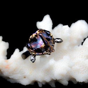 Statement Ring, Bug Jewelry, Metal Electroforming, Nature Inspired Real ...