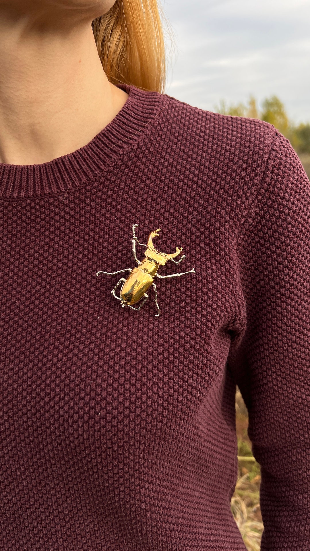 Brooch: Real Stag-beetle Electroformed With Pure Rhodium - Etsy
