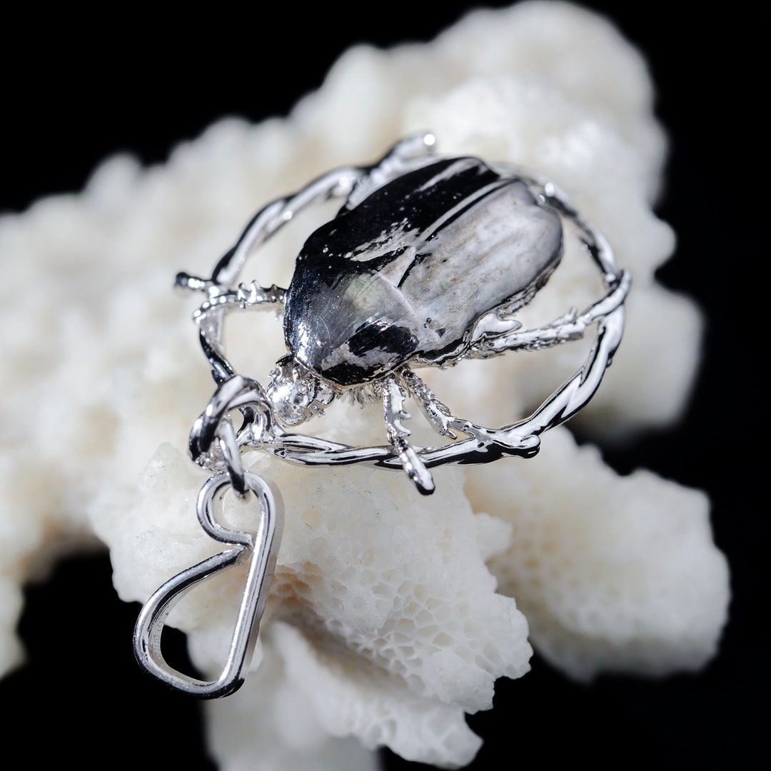 Real Bug Cetonia Electroformed With Pure Rhodium Finishing. Unusual ...