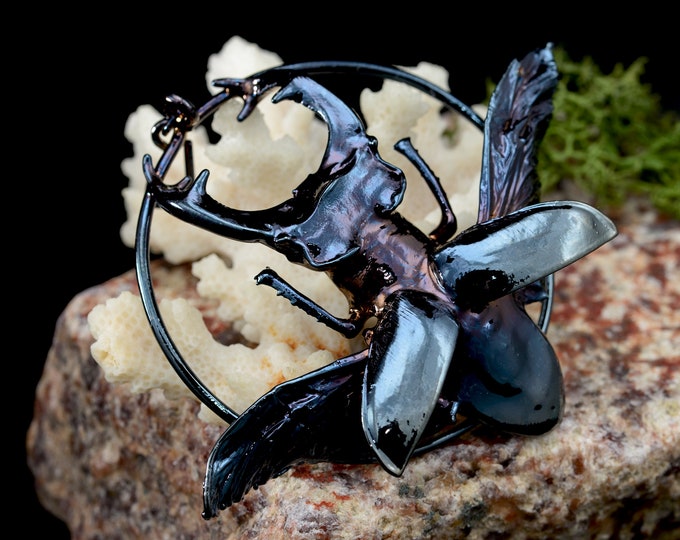 Stag-beetle Electroformed With Pure Ruthenium Finishing. Unusual ...