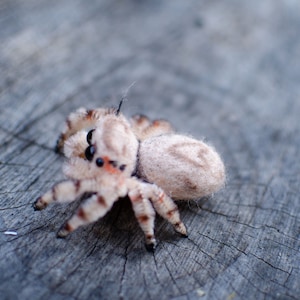 Needle Felted Jumping Spider Toy, Poseable Arachnid Sculpture - Etsy