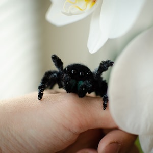 Needle Felted Jumping Spider Sculpture, Poseable Wool Toy - Etsy