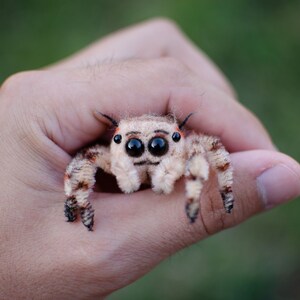 Needle Felted Jumping Spider Toy, Poseable Arachnid Sculpture - Etsy