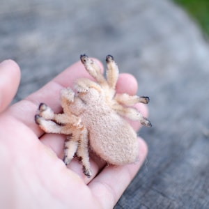 Needle Felted Jumping Spider Toy, Poseable Arachnid Sculpture - Etsy