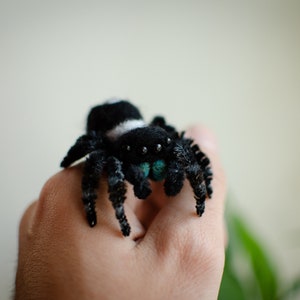 Needle Felted Jumping Spider Sculpture, Poseable Wool Toy - Etsy