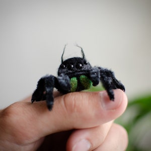 Needle Felt Jumping Spider Toy, Poseable Arachnid Sculpture - Etsy