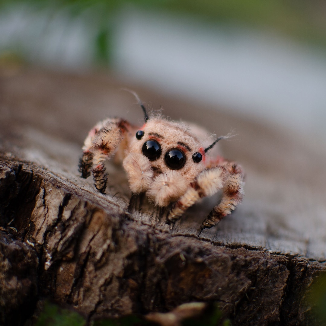 Baby Jumping Spider Toy, Creepy Gift, Poseable Sculpture, Needle Felted ...