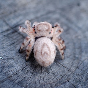 Needle Felted Jumping Spider Toy, Poseable Arachnid Sculpture - Etsy
