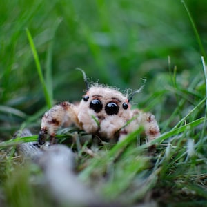 Needle Felted Jumping Spider Toy, Poseable Arachnid Sculpture - Etsy