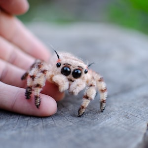 Needle Felted Jumping Spider Toy, Poseable Arachnid Sculpture - Etsy