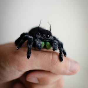 Needle Felt Jumping Spider Toy, Poseable Arachnid Sculpture - Etsy