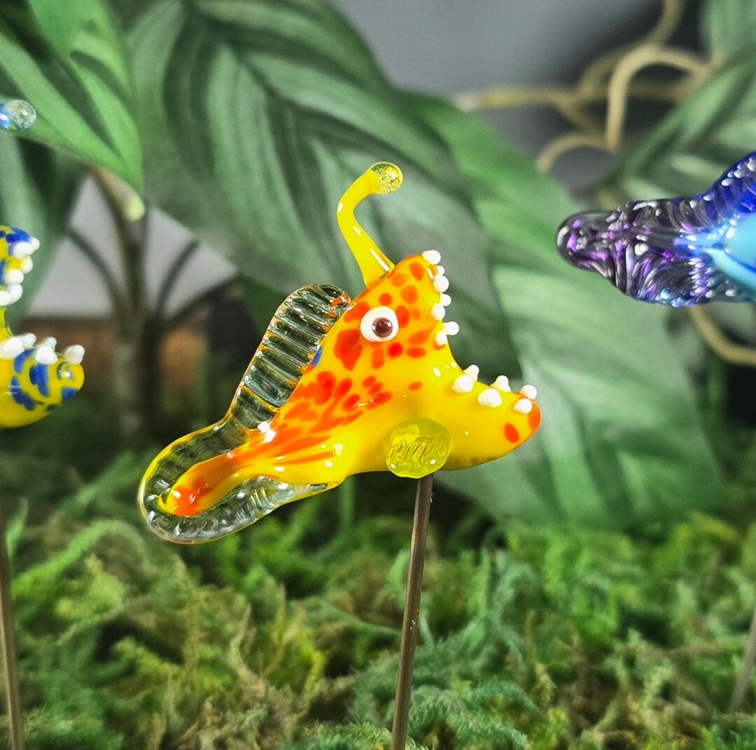 Angler Fish Plant Pals, House Plant and Fairy Garden Decor - Etsy