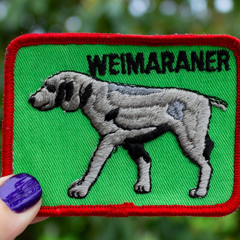 Customize Show Dog Jacket - Etsy