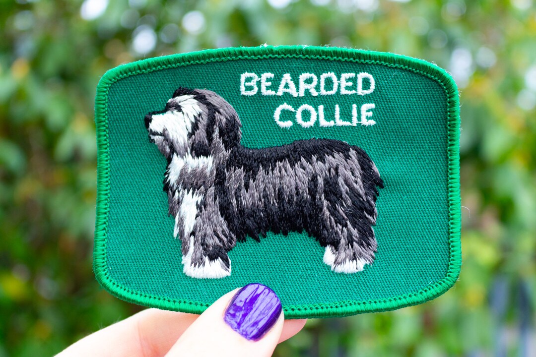 Vintage Bearded Collie Bordado Patch Dog Show 1970s Breed Lover Gift ...