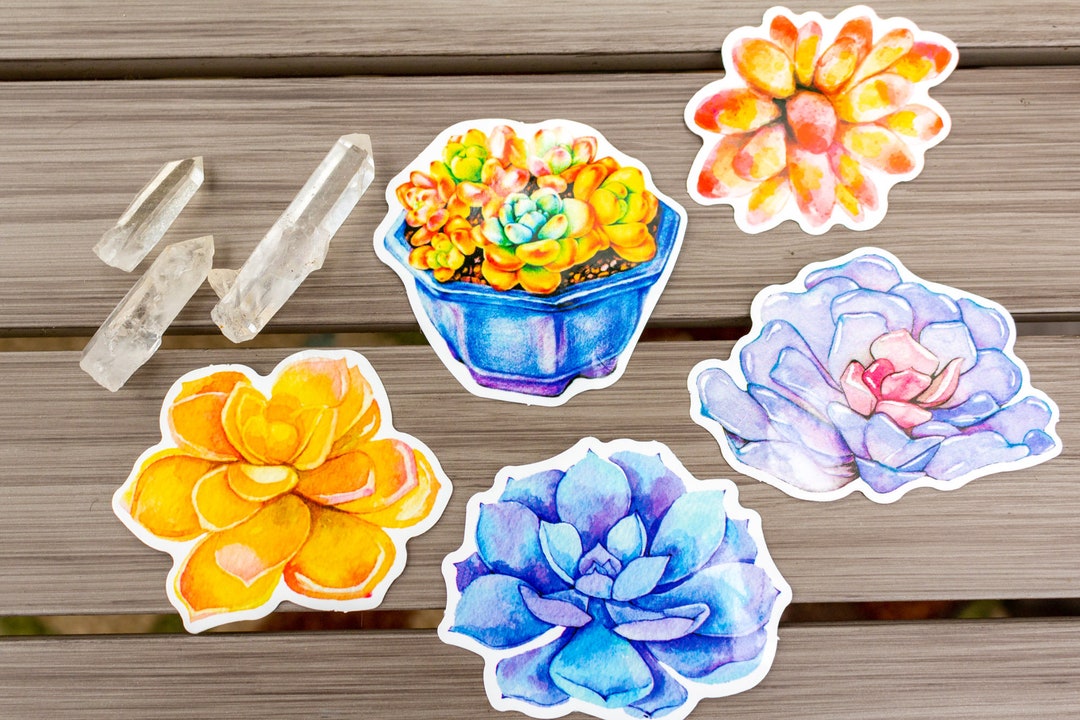 5x Succulent Stickers Plants | Watercolor | Blue Purple Orange Set of 5 ...