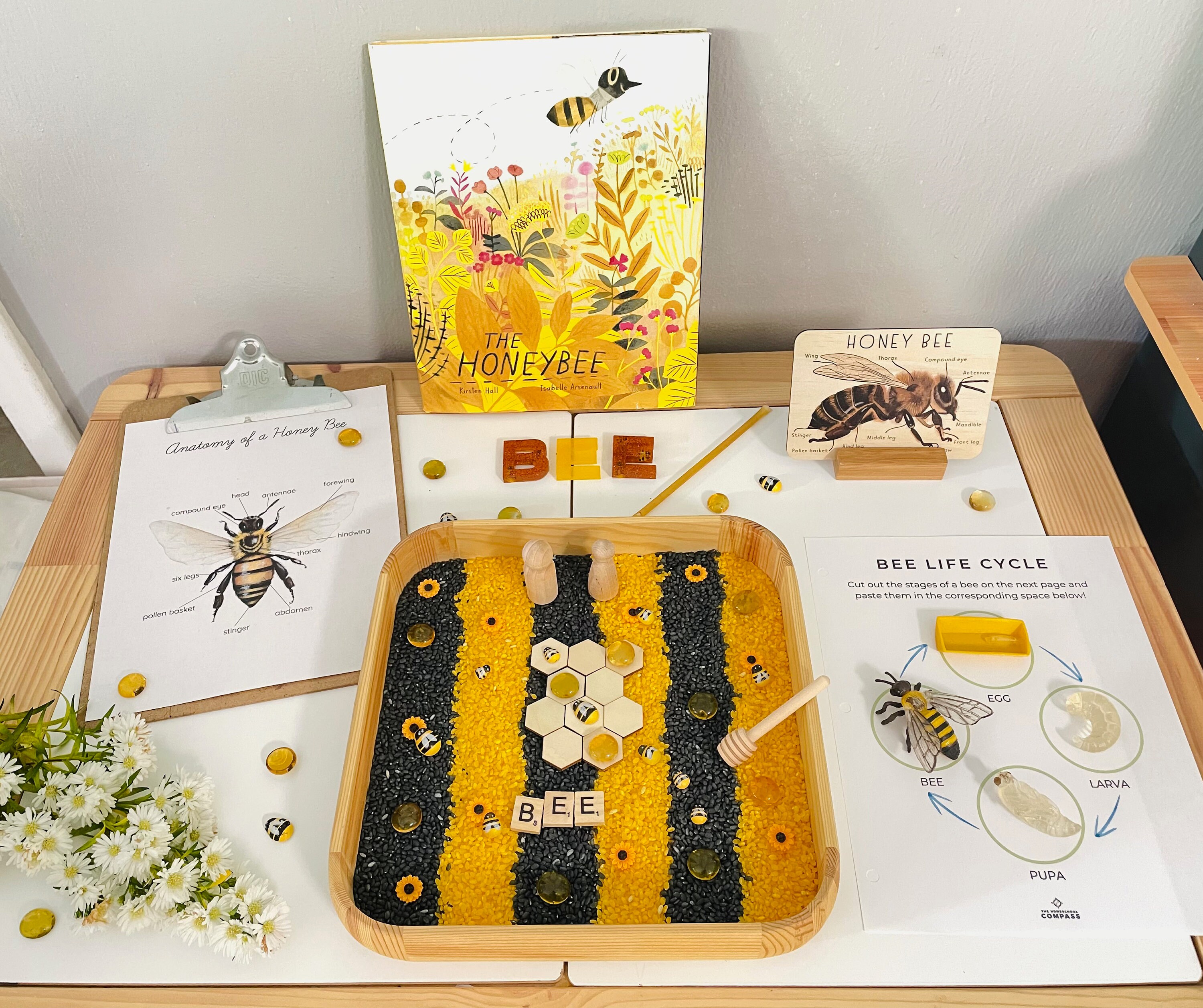 Buzzing Bee Rice Sensory Bin Filler Kit Buzzing Bee Sensory - Etsy