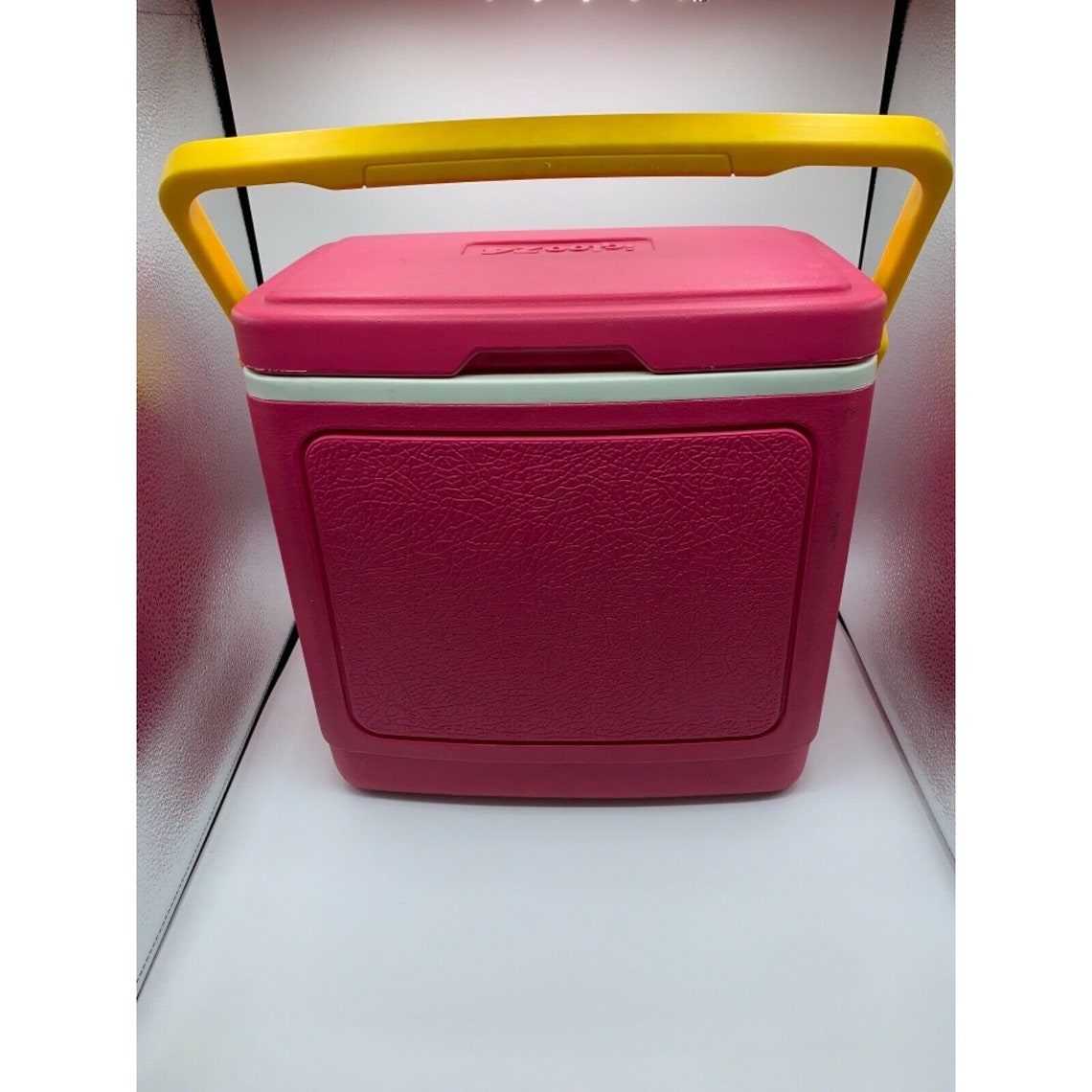 Vintage Pink Igloo Legend 24 CAN Ice Chest Cooler - Etsy India
