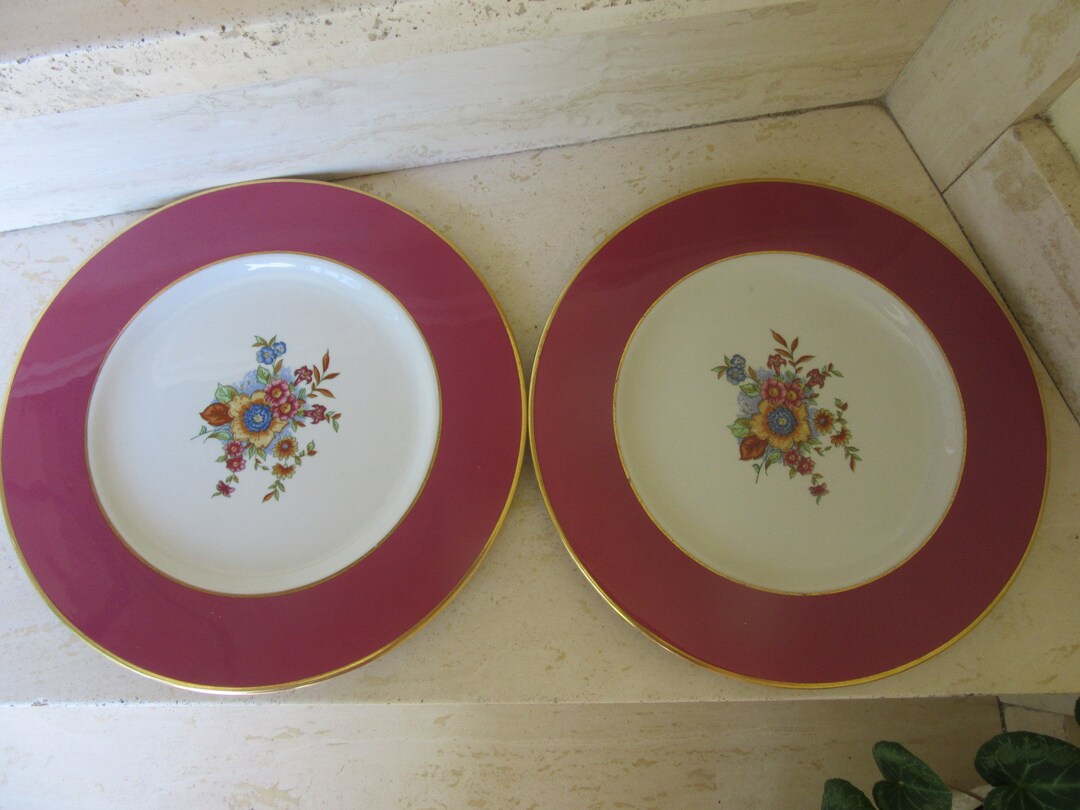 Pair of Mayer China Large Plates, Dresden Pattern, Diameter 27 Cm = 10. ...